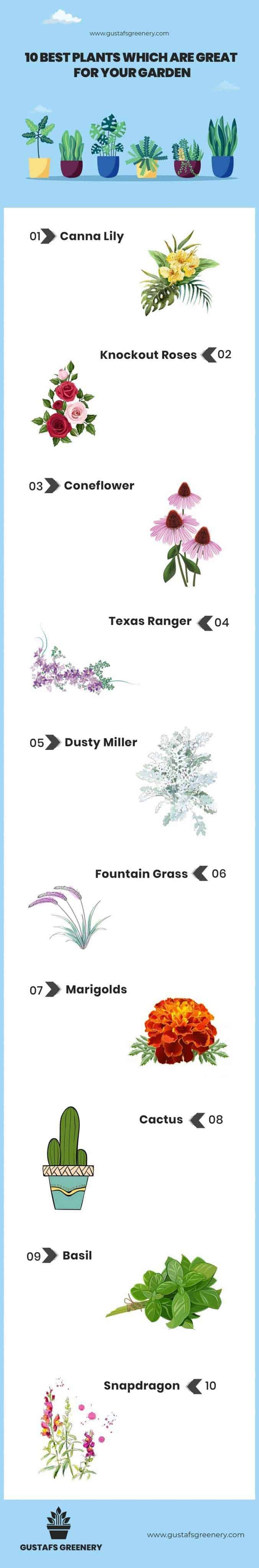 10 Best Garden Plants That Are Perfect For Your Garden