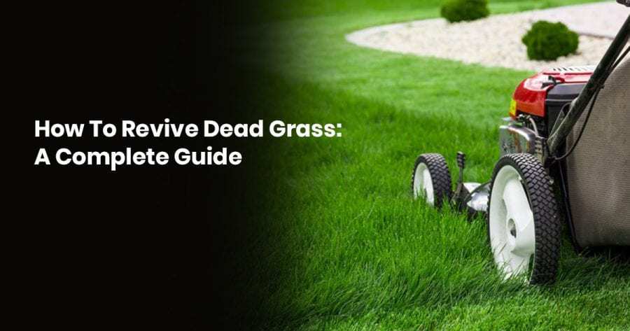 GustafsGreenery.com | Your #1 Gardening Resource
