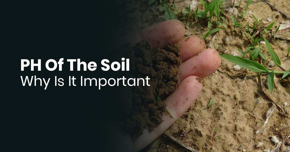 GustafsGreenery.com | Your #1 Gardening Resource